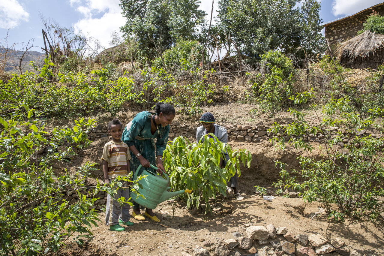 From Famine Relief to Resilient Food Systems | Helvetas